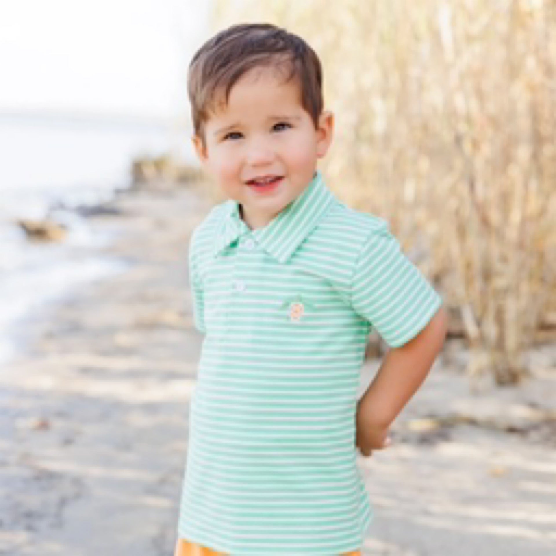 Sea Turtle Polo | Hamilton Brooks Design